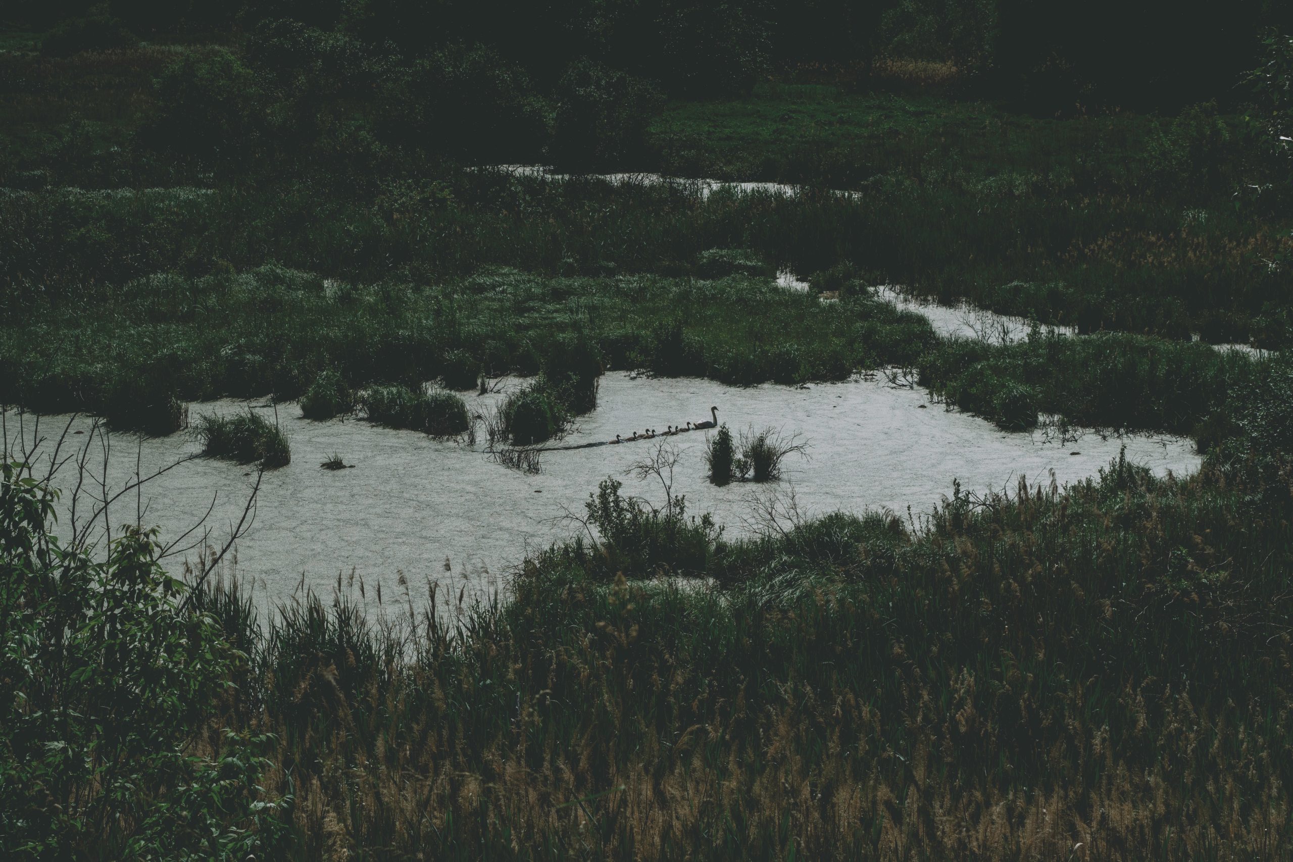 Sewage swamps Eastern England's wilderness - UK Property Forums